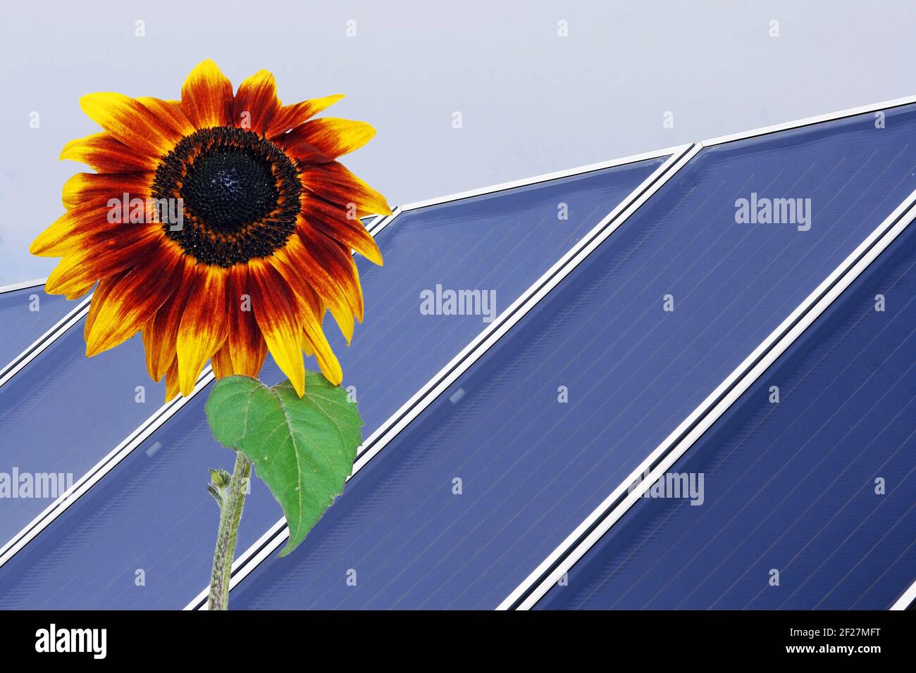 Solar energy is good for nature and the environment Stock Photo - Alamy