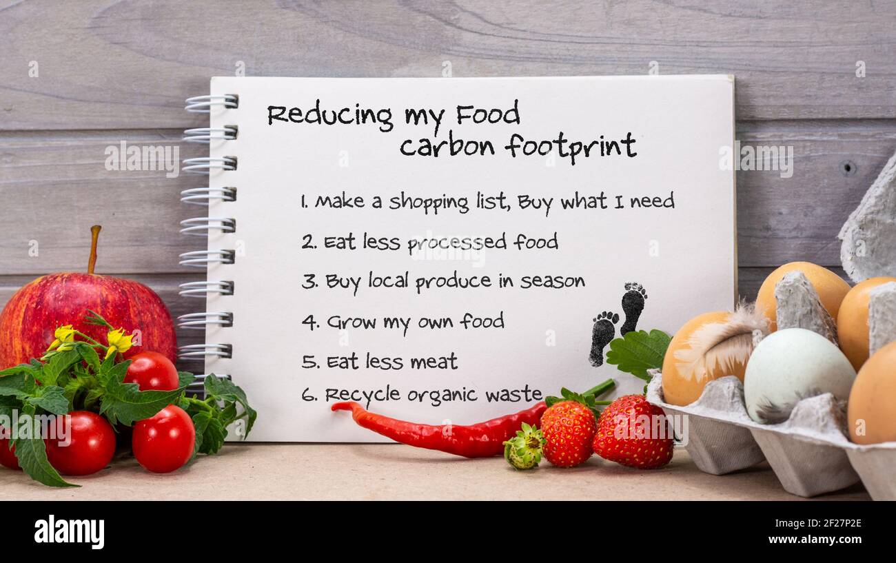 Carbon Footprint Reduction Quotes With Great Carbon Footprint Comes
