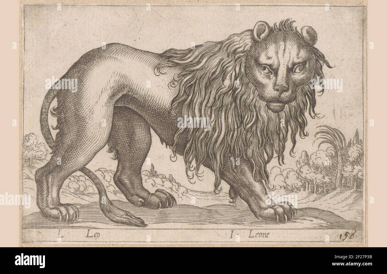 Leew; L Leo / the lion; Dien en fabelwezens; New collection of the ...