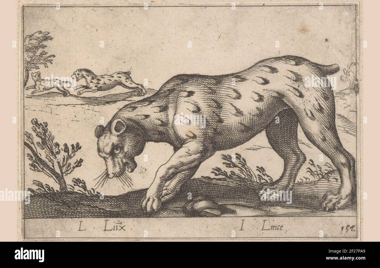 Lynx; L LINX / I LINCE; Animals and fabulous beings; Nova Raccolta de ...
