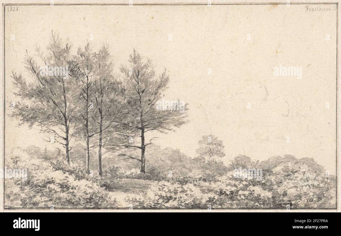 Landscape with left four trees Stock Photo - Alamy