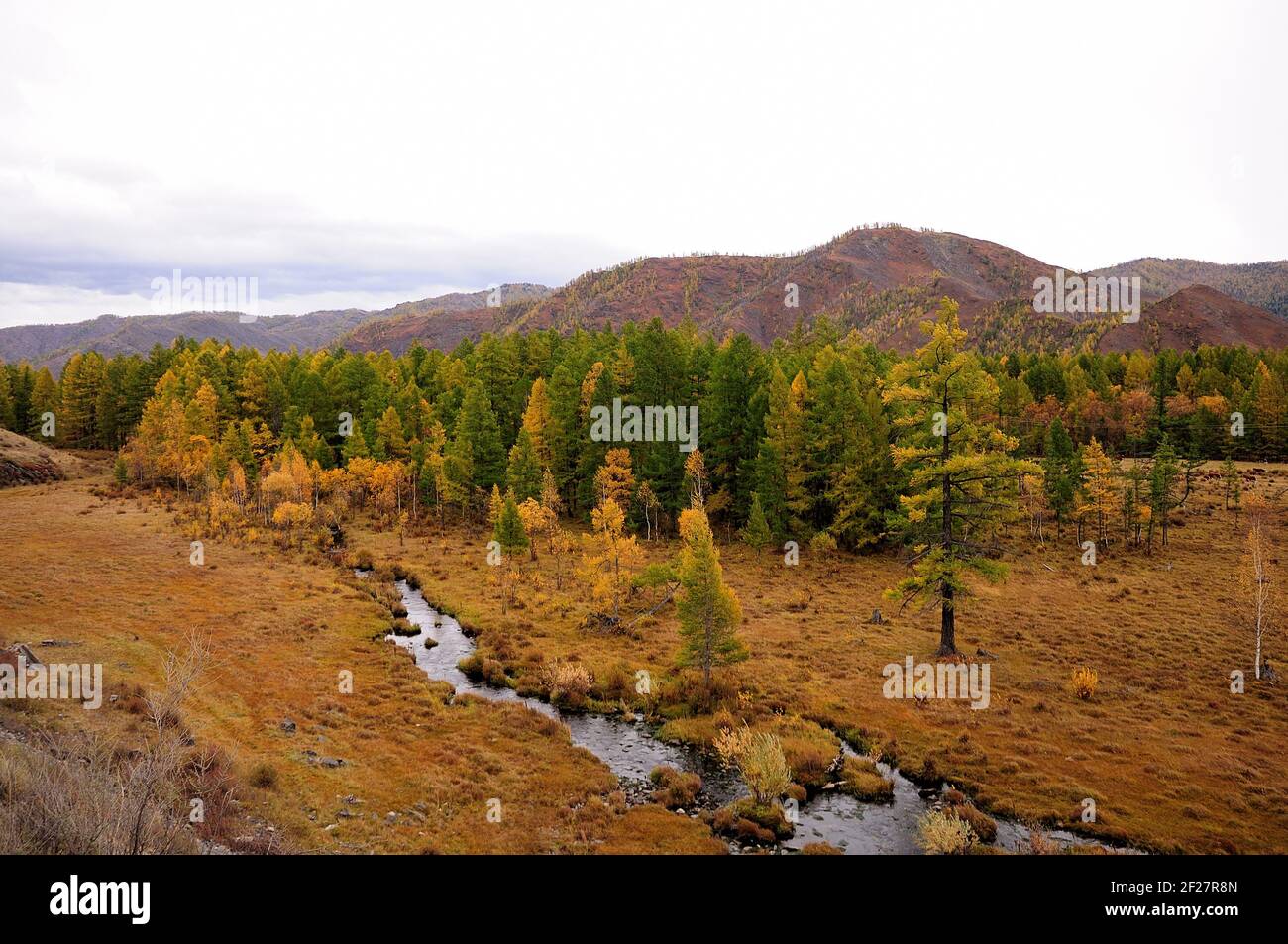 Shallow river stream flowing calmly hi-res stock photography and images ...