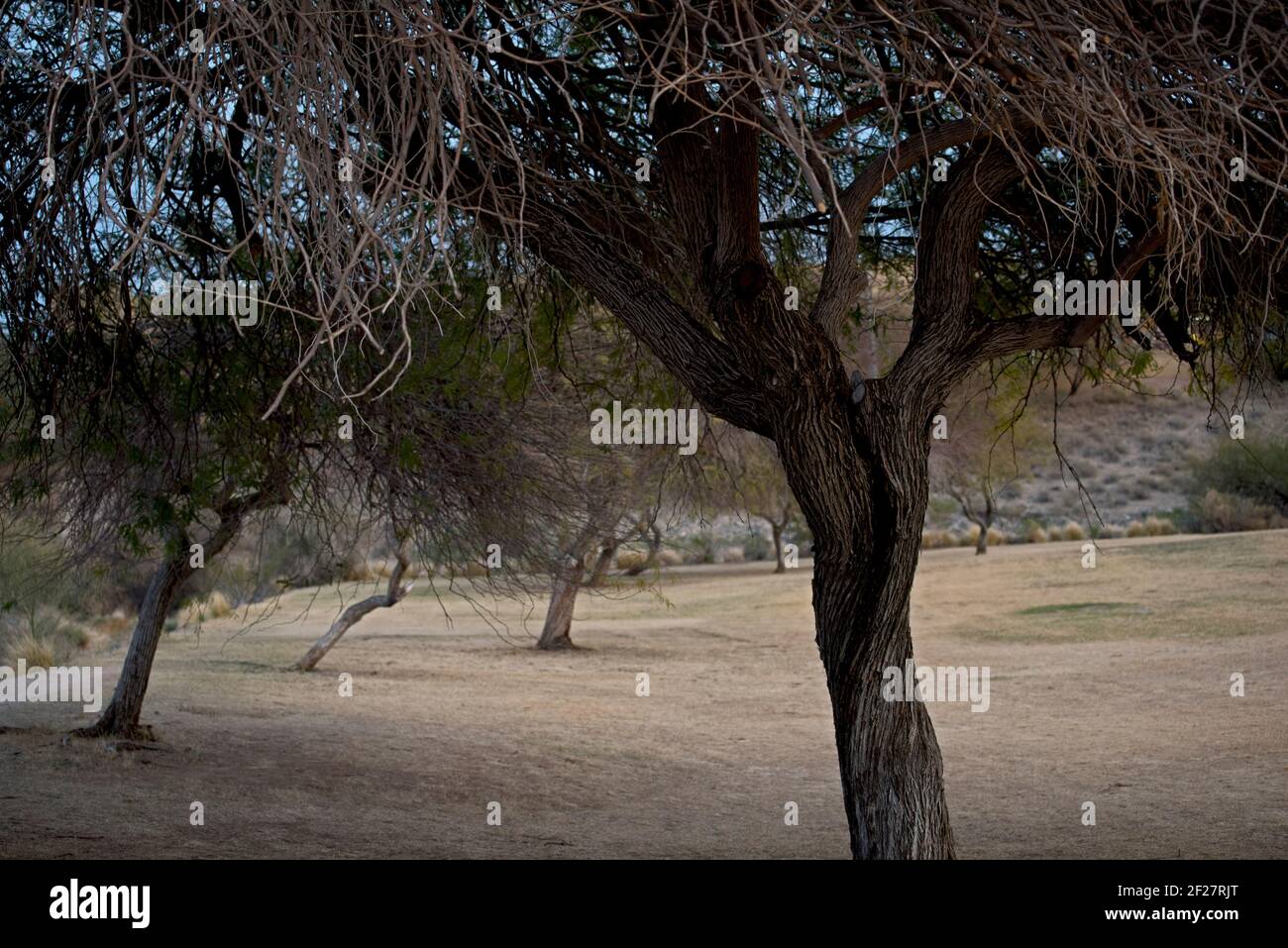 Desert Playground High Resolution Stock Photography and Images - Alamy