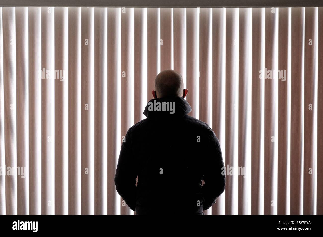 A man standing in front of window shades from behind Stock Photo - Alamy