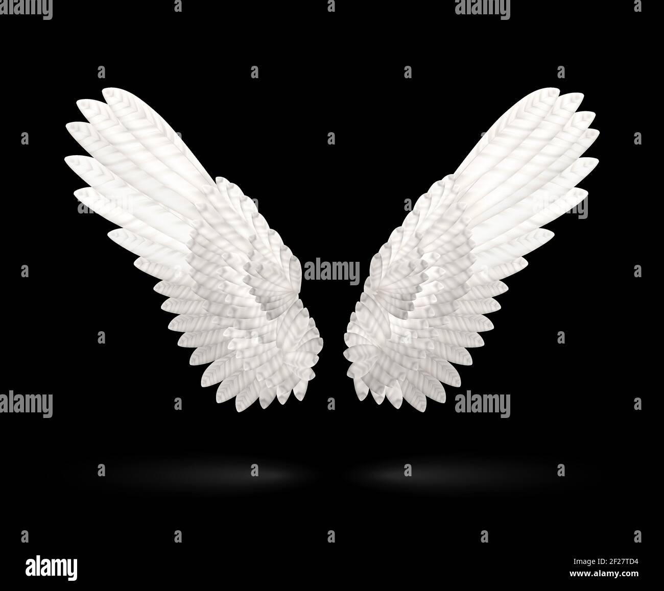 Vector Realistic White Wings on black background Stock Vector Image ...