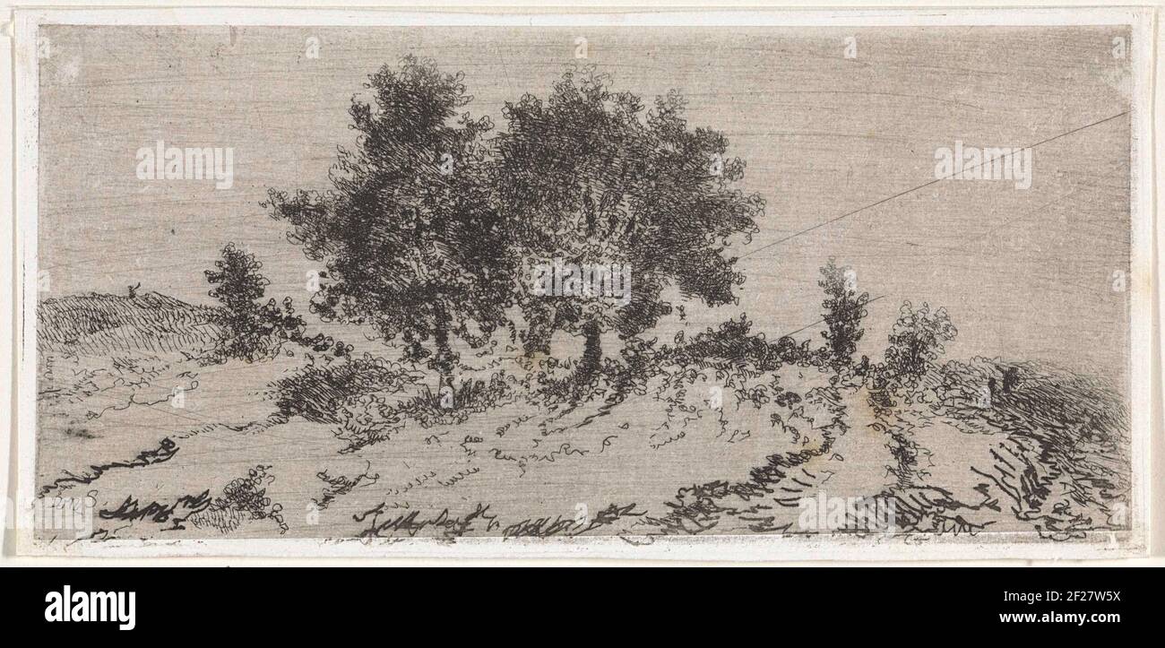 Landscape with trees group Stock Photo - Alamy