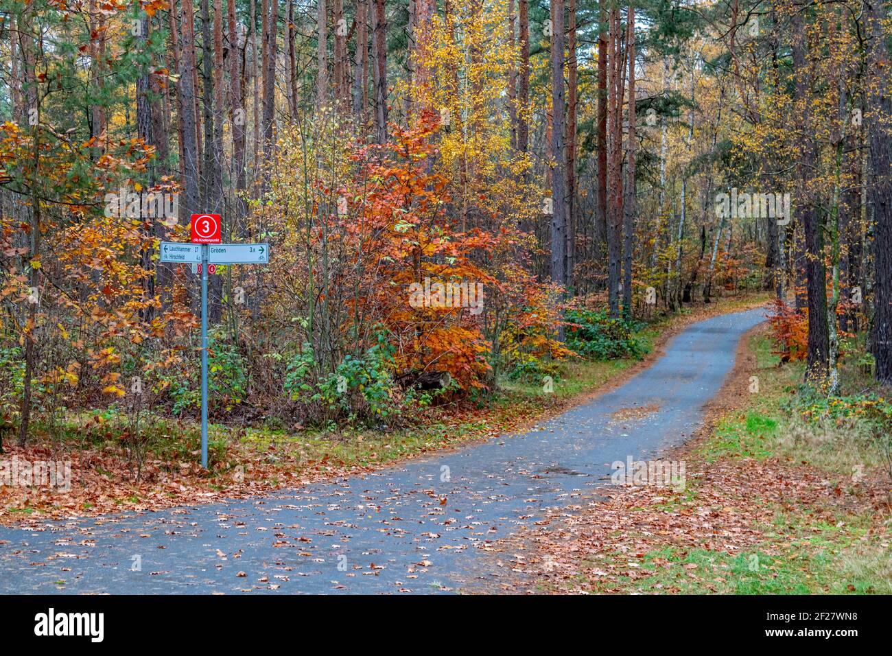 November path hi-res stock photography and images - Alamy