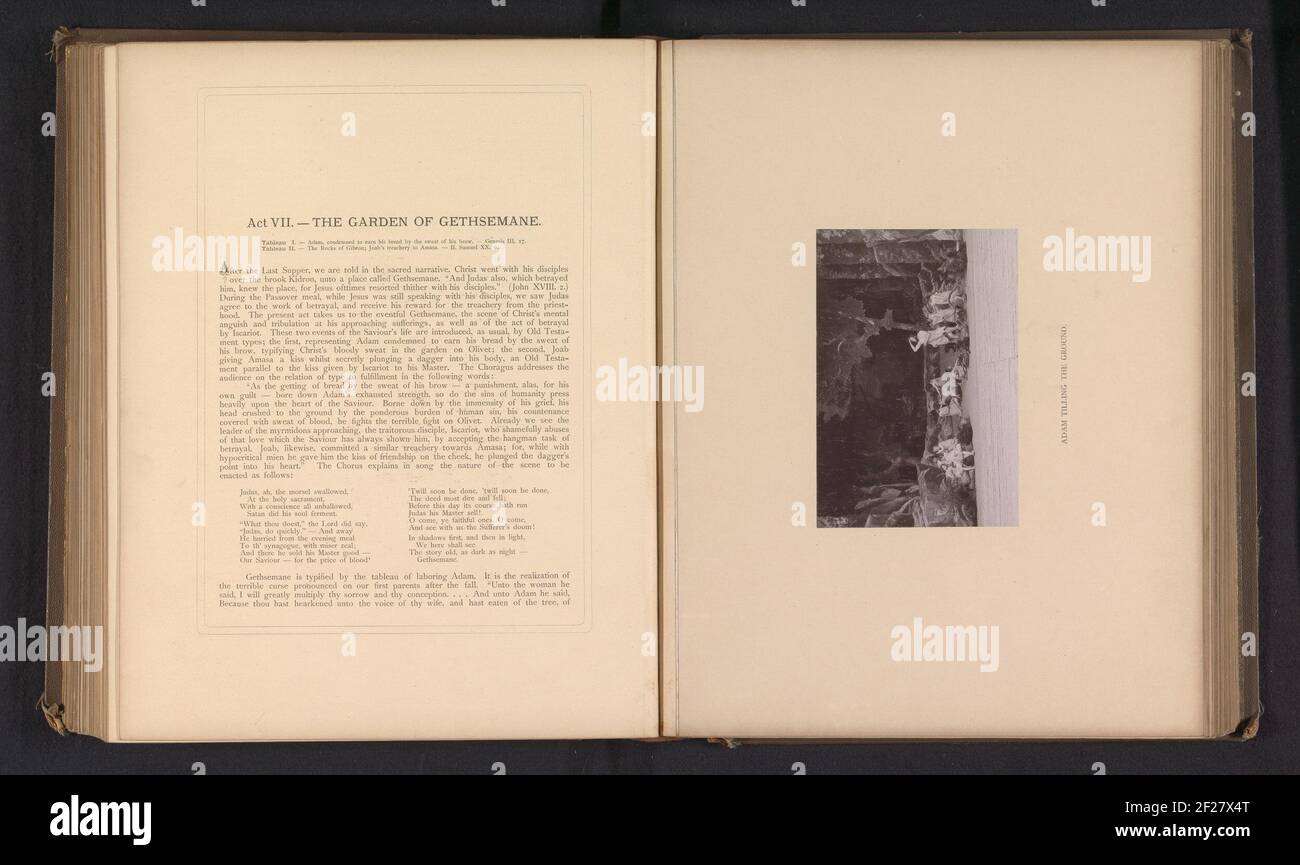 Adam ground hi-res stock photography and images - Alamy