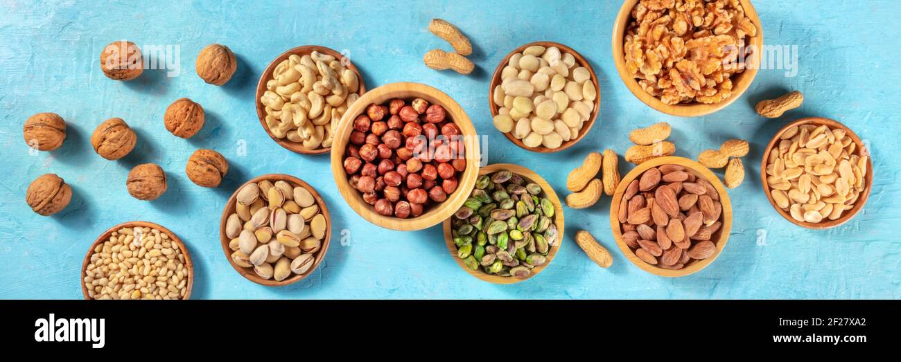 Nuts panorama on a vibrant blue background. A selection of various nuts ...