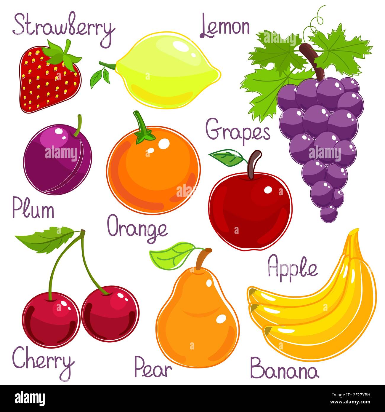 Selection of fresh whole colorful tropical fruit with labels including ...