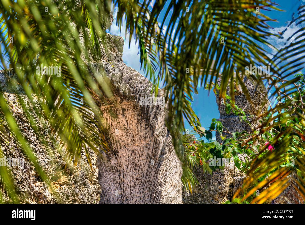 Coral stone architecture hi-res stock photography and images - Alamy