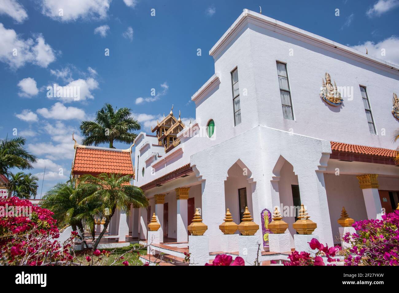 Buddhist temple with palm tree hi-res stock photography and images - Alamy