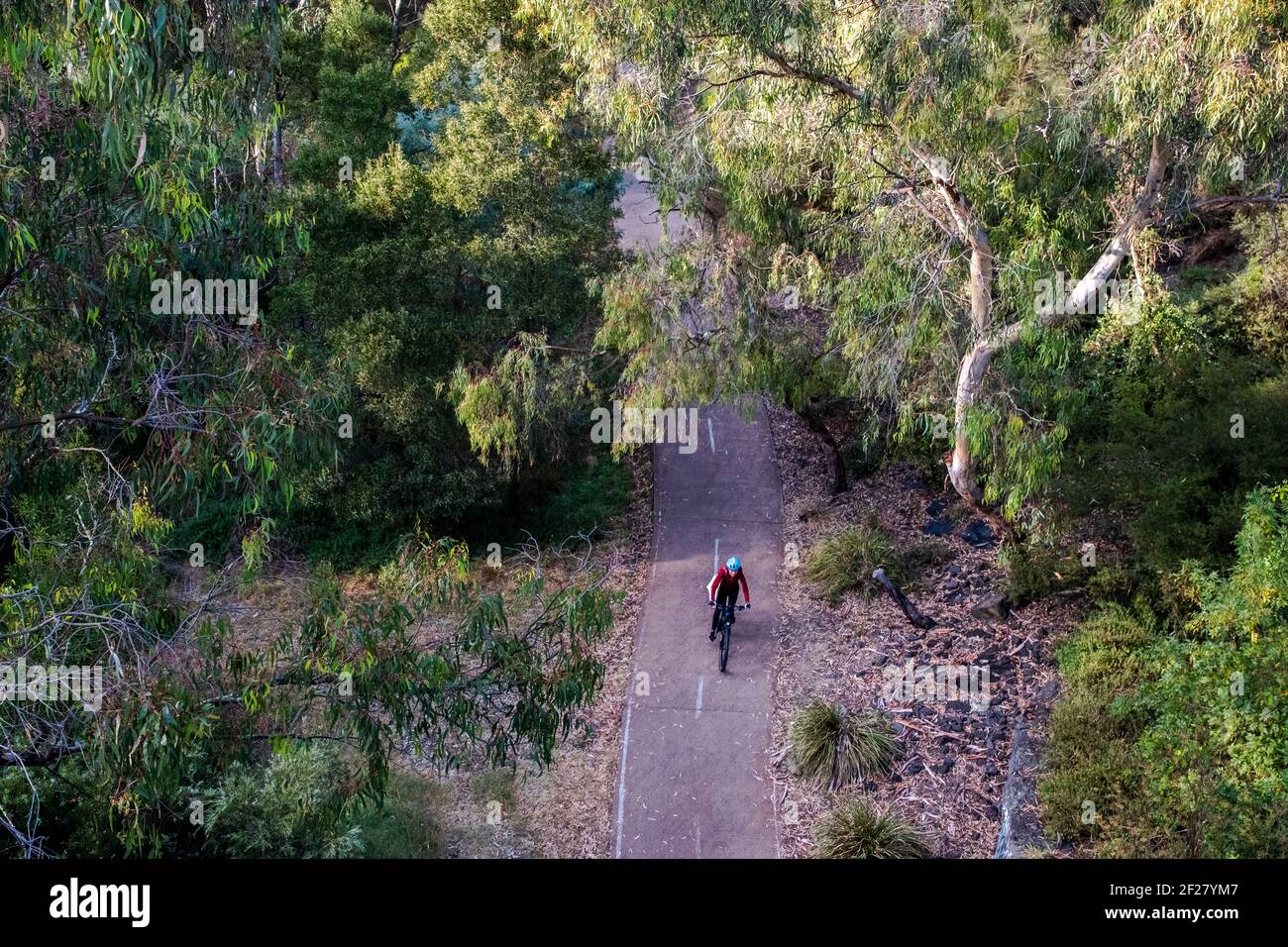 Bushland along path australia hi-res stock photography and images - Alamy