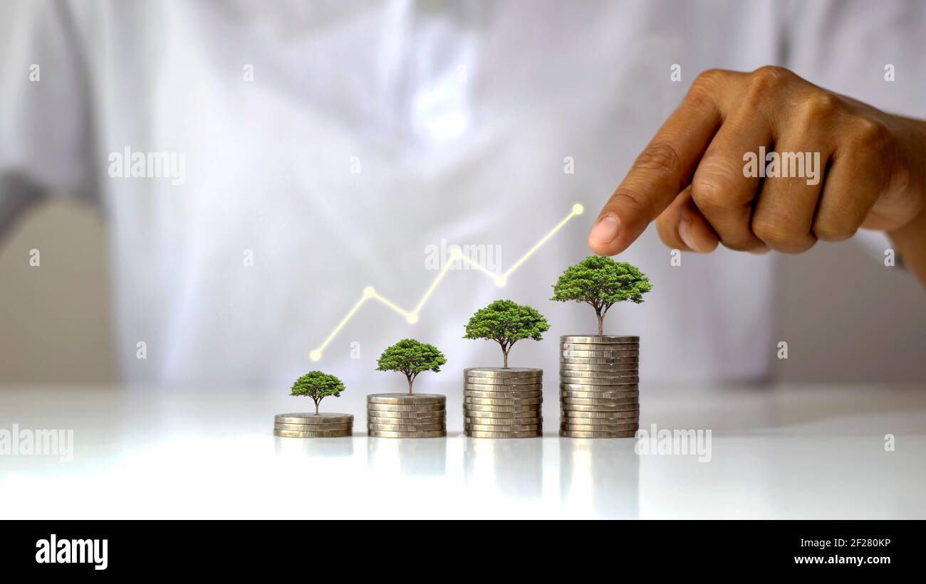 Graph showing tree growth on pile of money, business investment ideas ...