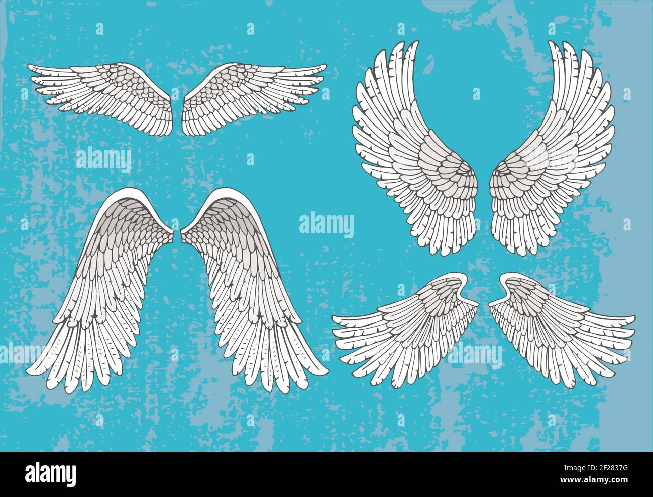 Drooping feathers Stock Vector Images - Alamy