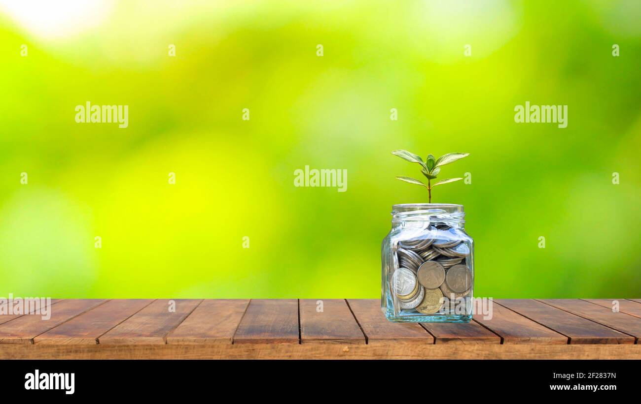 Financial and retirement planning ideas, bottle plant trees to save ...