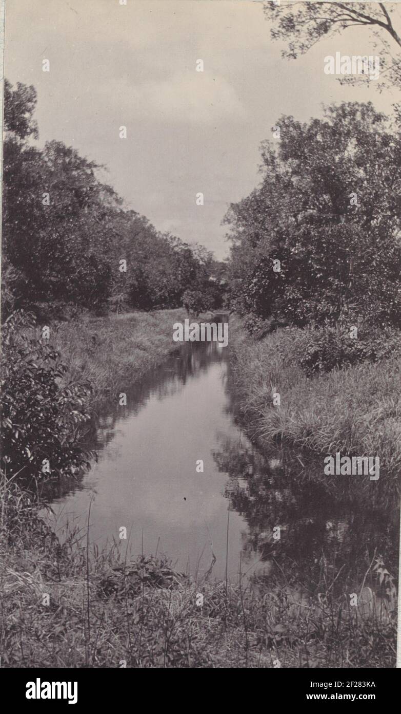 Landschap met sloot.Landscape with ditch, possible at Plantage Clevia ...