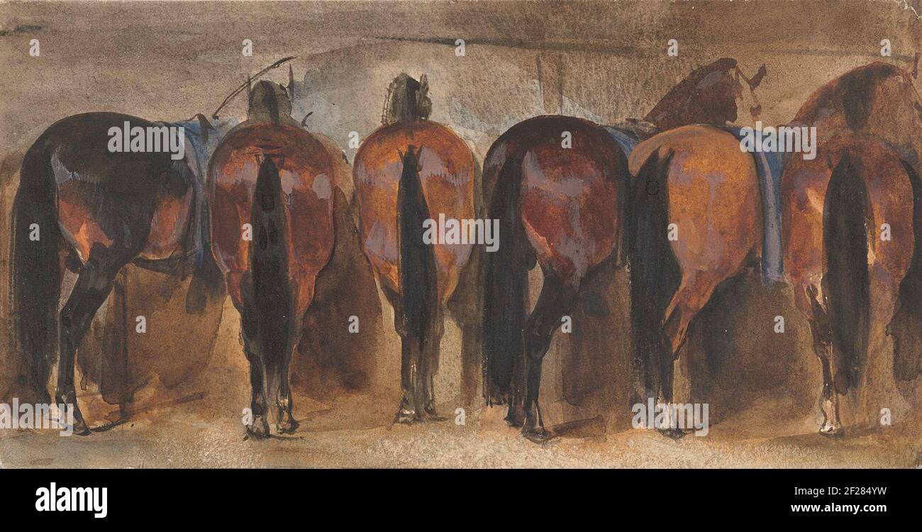 Stable environment hi-res stock photography and images - Alamy