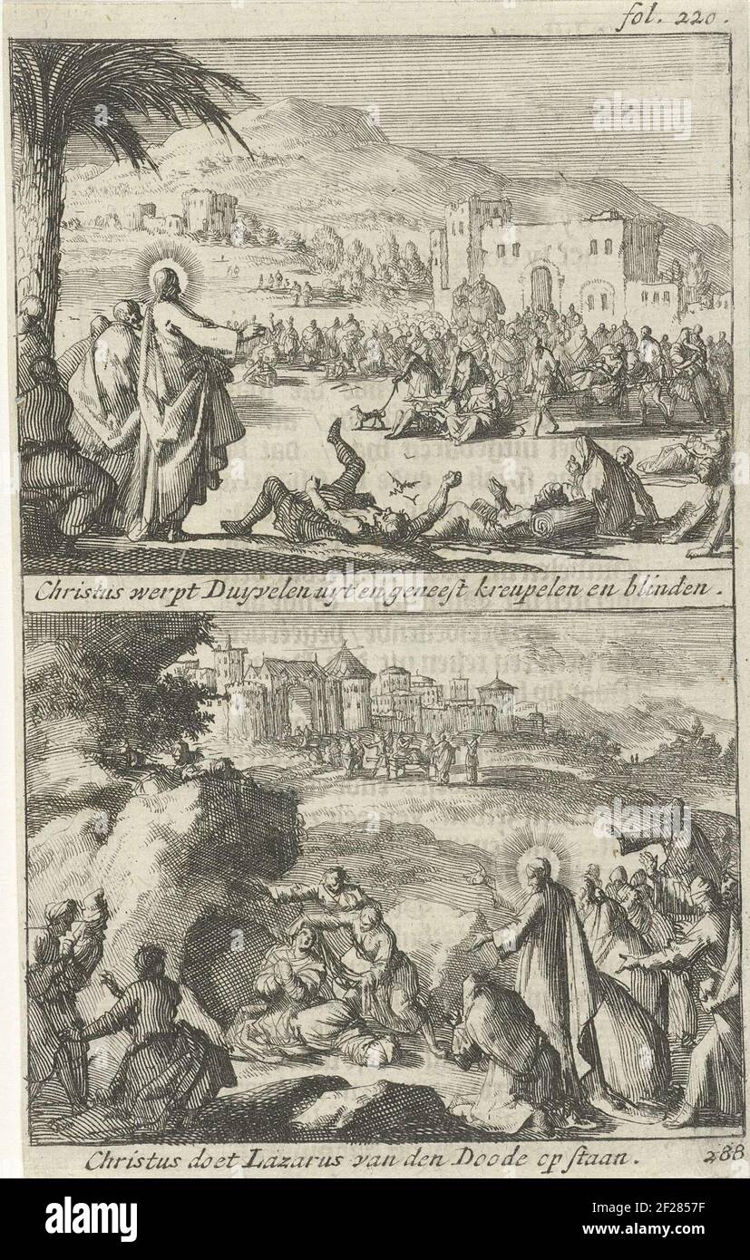 Two representations of one plate. Print at the top right labeled: fol ...