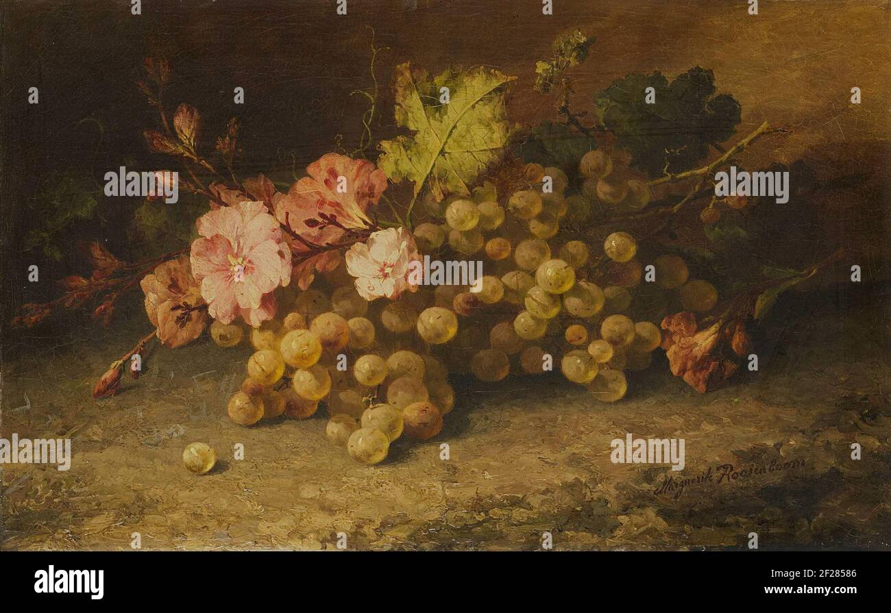 Still Life with Grapes.Still life with bunches of grapes and some ...