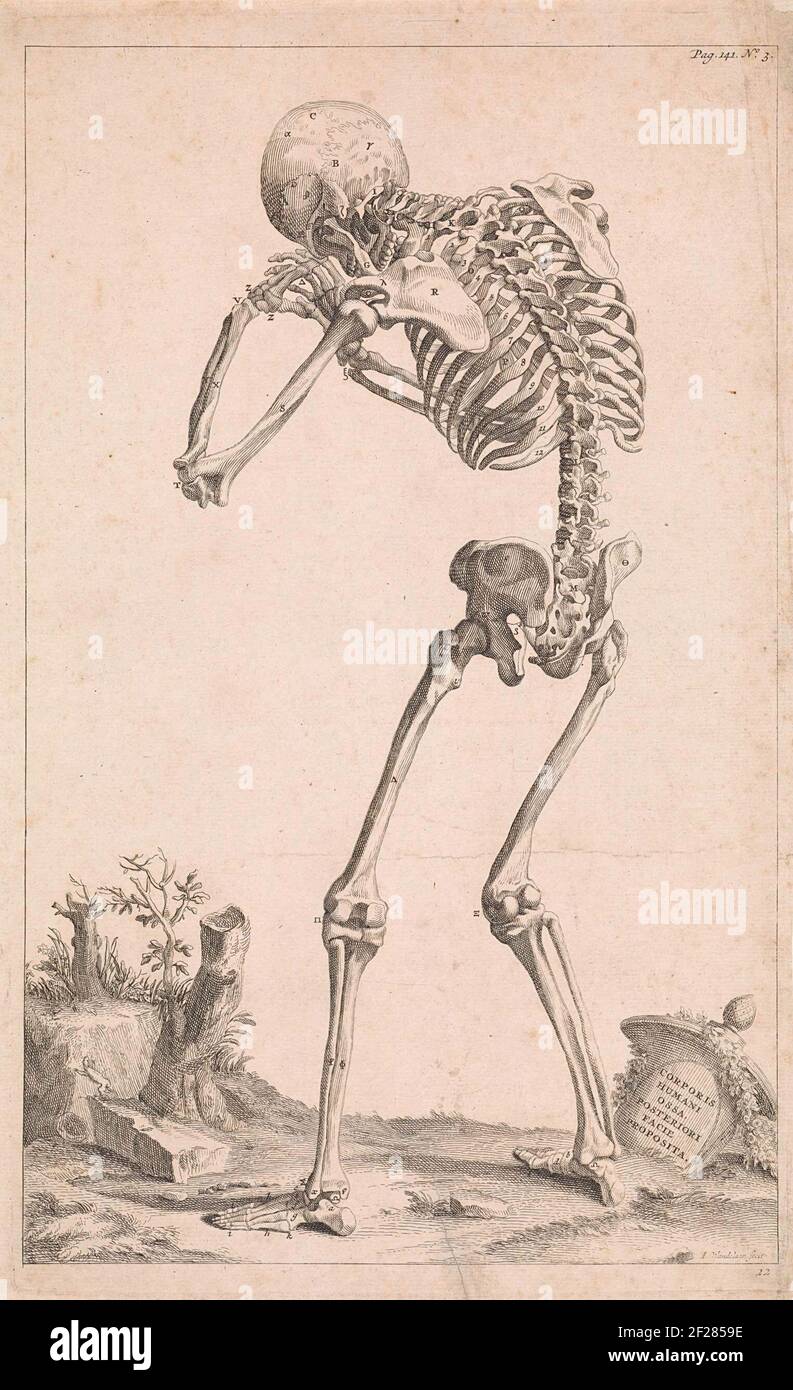 Landschap met skelet.A human skeleton with a curved back, seen from ...