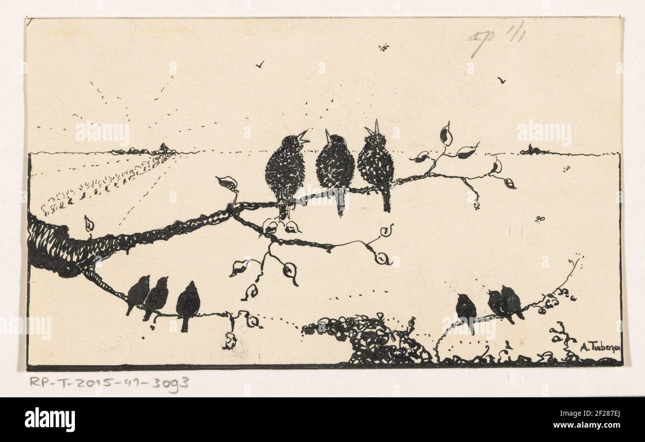 Nine birds on tree branches Stock Photo - Alamy