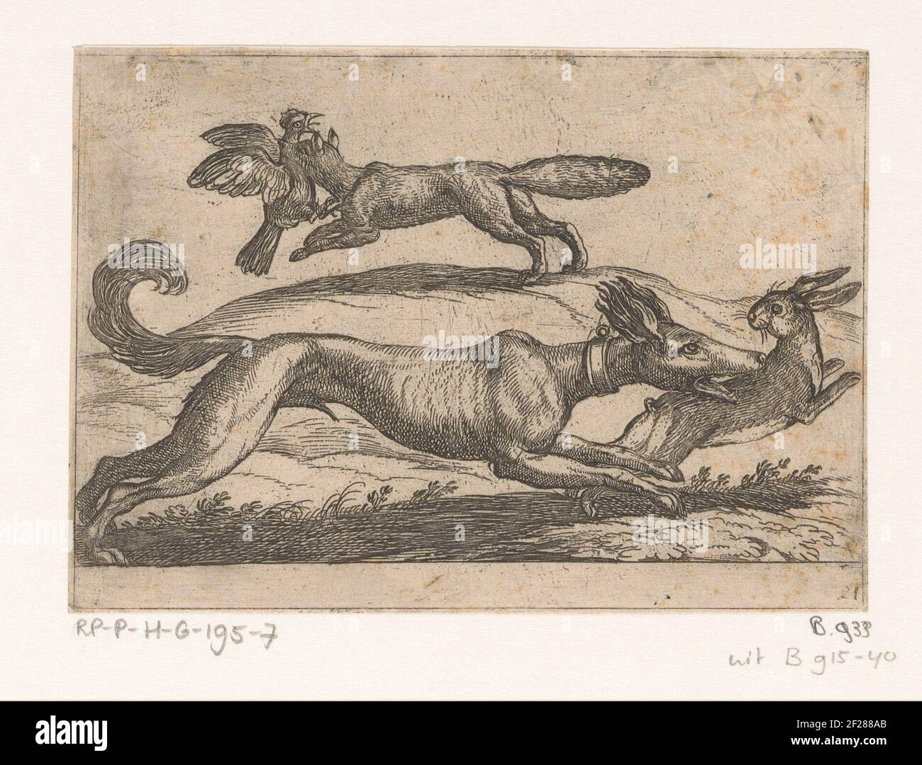 A fox attacks a chicken and a dog a hare; Fighting animals Stock Photo ...