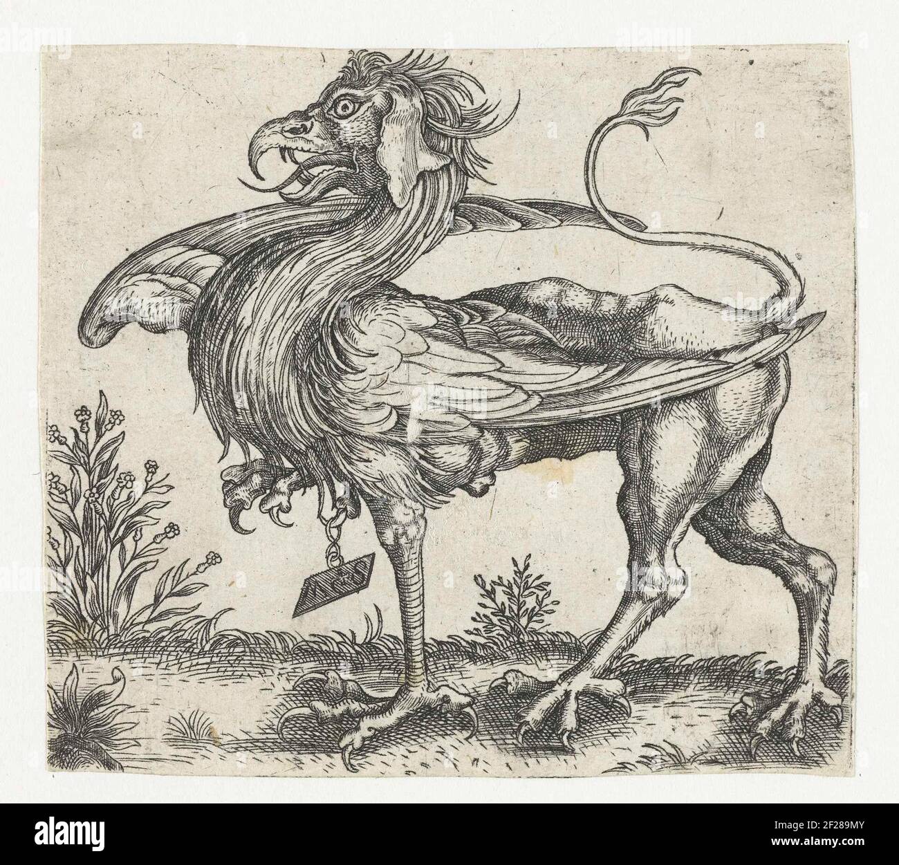 De griffioen.A griffin: an eagle-like creature with the tail of a lion ...