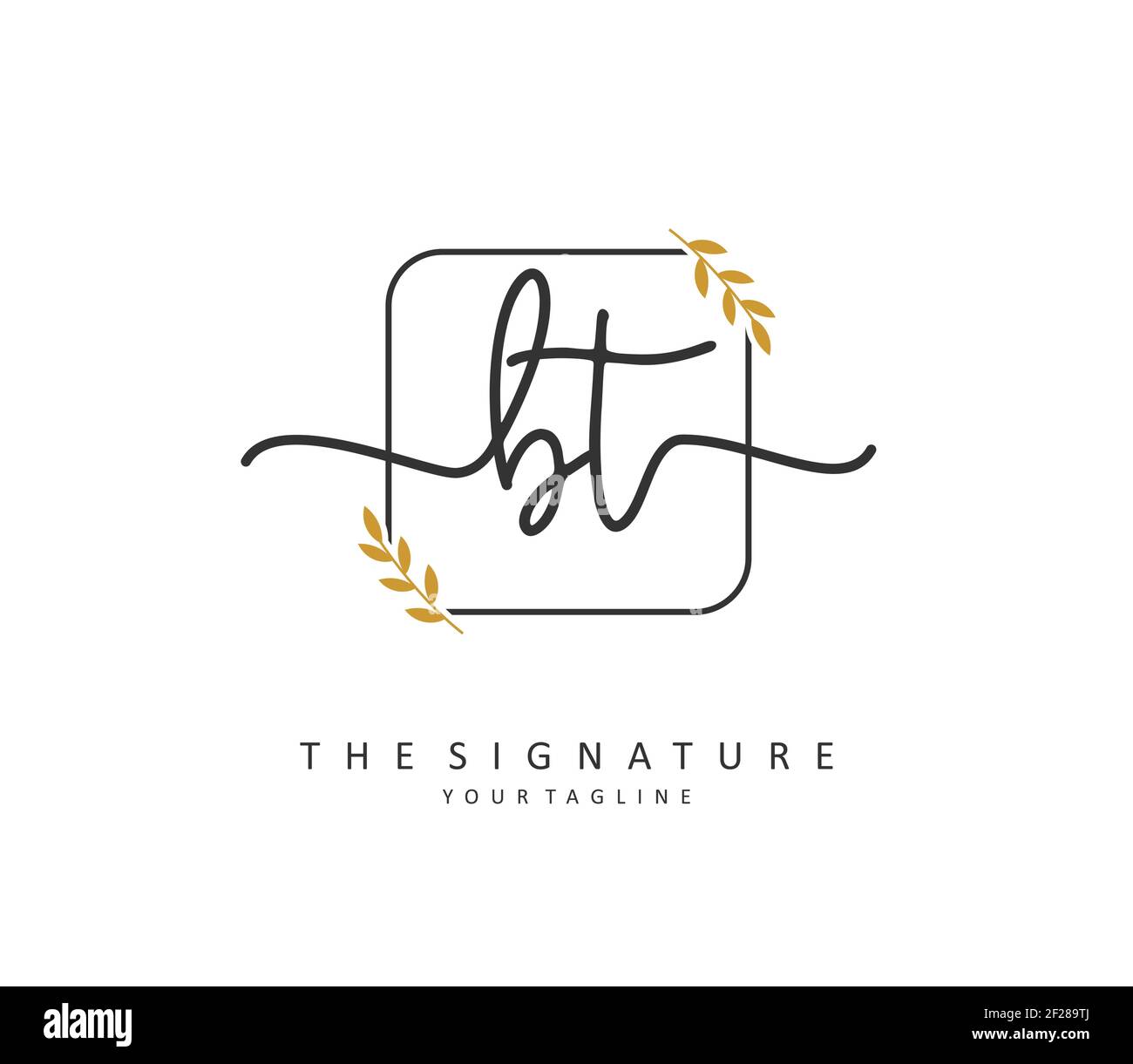 B T BT Initial letter handwriting and signature logo. A concept ...