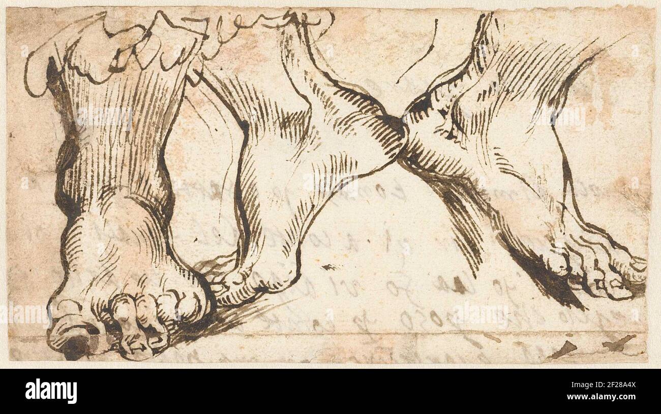 Three studies of a foot Stock Photo - Alamy