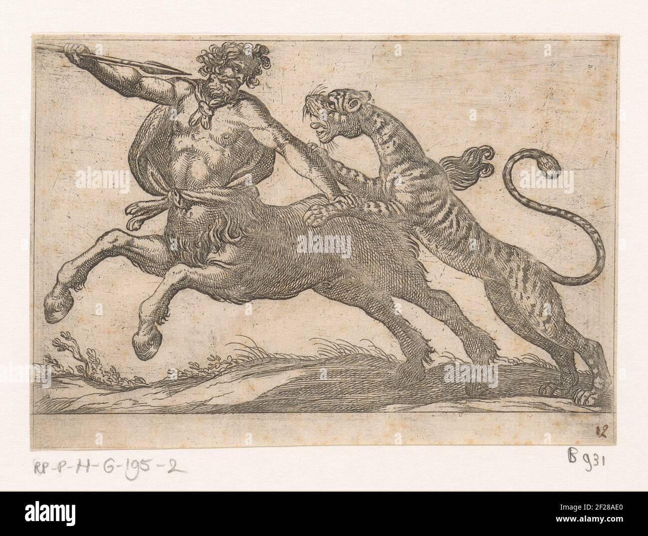 A tiger fighting with a centaur; Fighting animals Stock Photo - Alamy