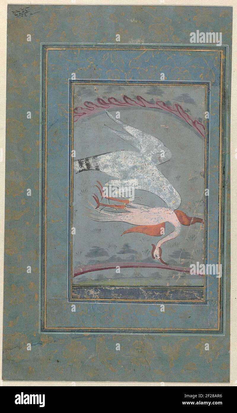 Hawk with crane bird.A crane picked through a hawk on a gray-blue ...