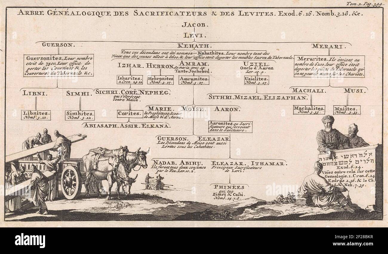 Family tree of the Levitian priesthood; Arbre généalogique des ...