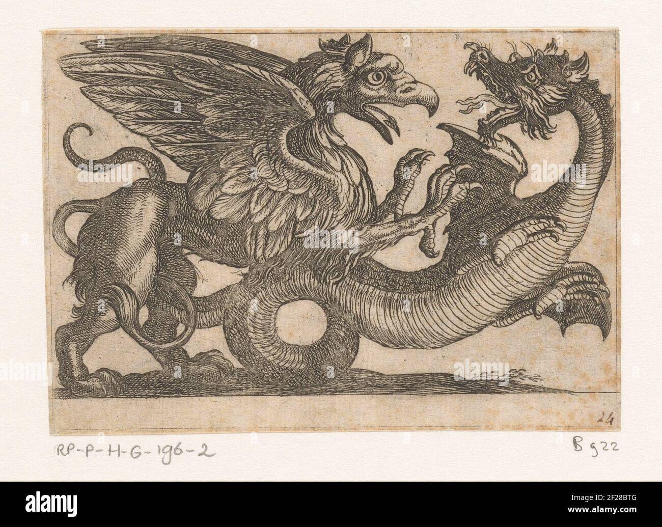 Griffins And Dragons Fighting