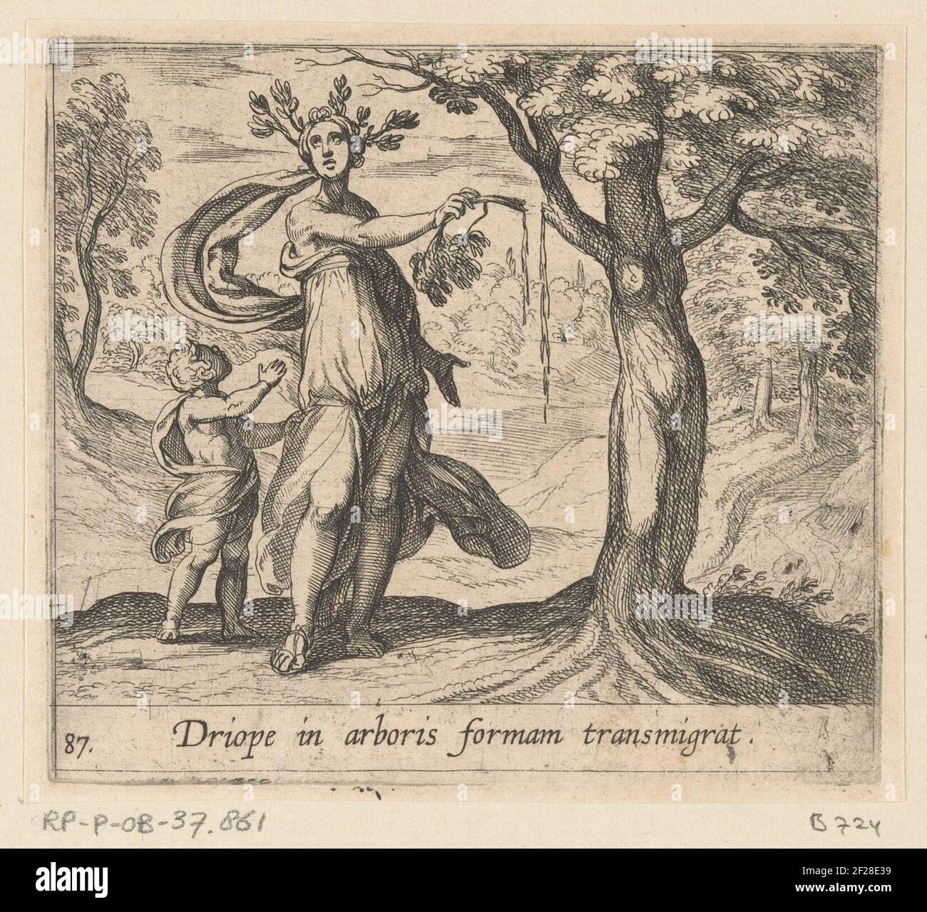 Driope hi-res stock photography and images - Alamy