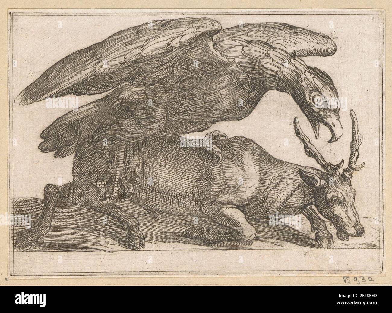 Large bird stands hi-res stock photography and images - Alamy