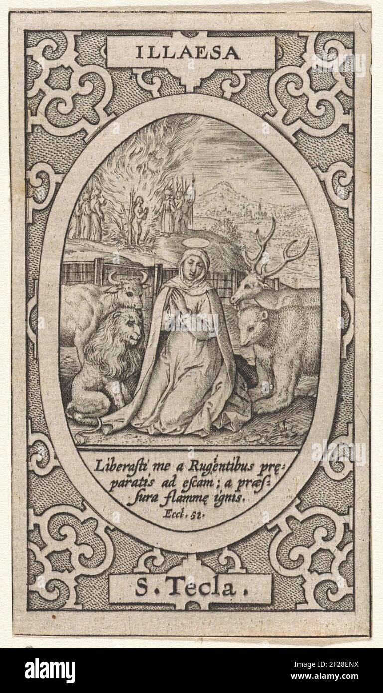 Thecla iconium hi-res stock photography and images - Alamy