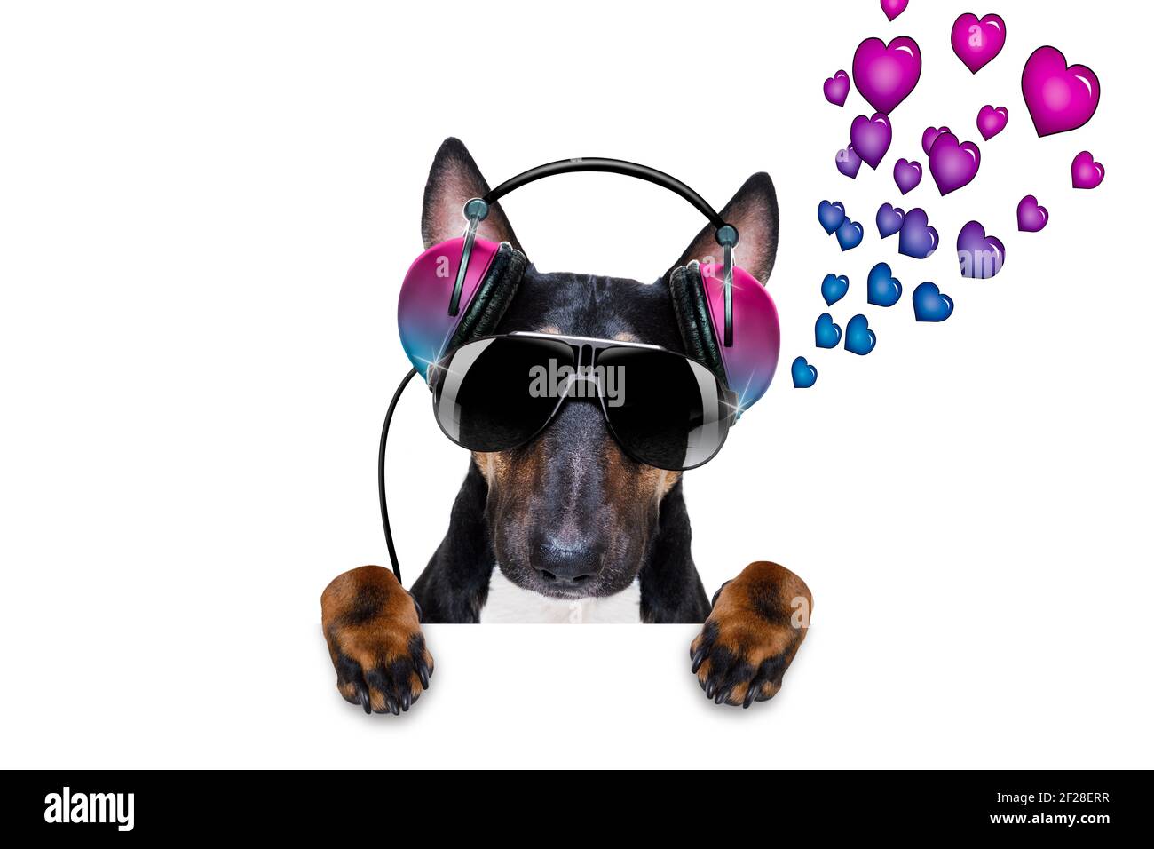 Dj disco dancing music dog Stock Photo - Alamy
