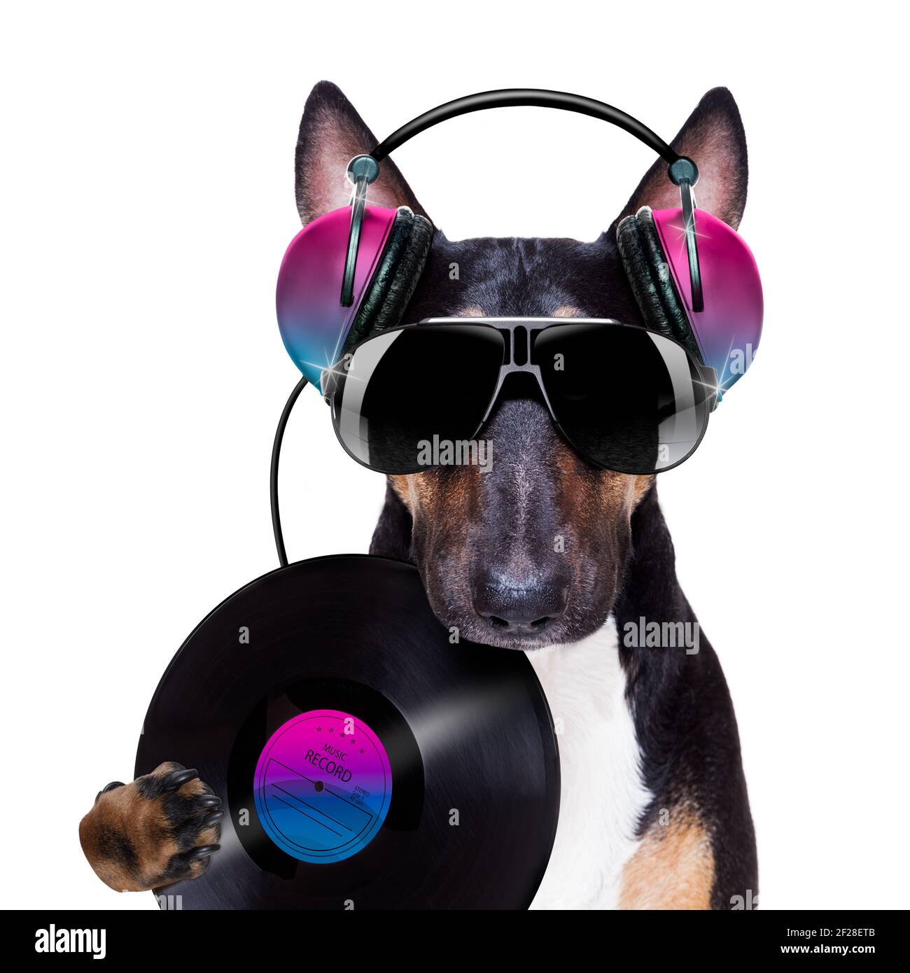 Dj disco dancing music dog Stock Photo - Alamy