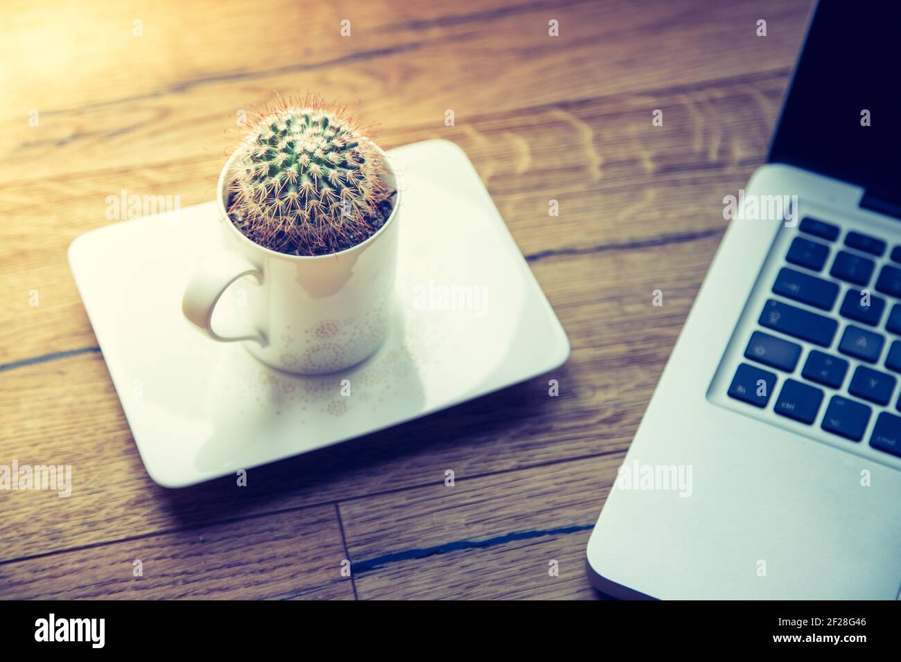 Computer on a desk cut out hi-res stock photography and images - Alamy