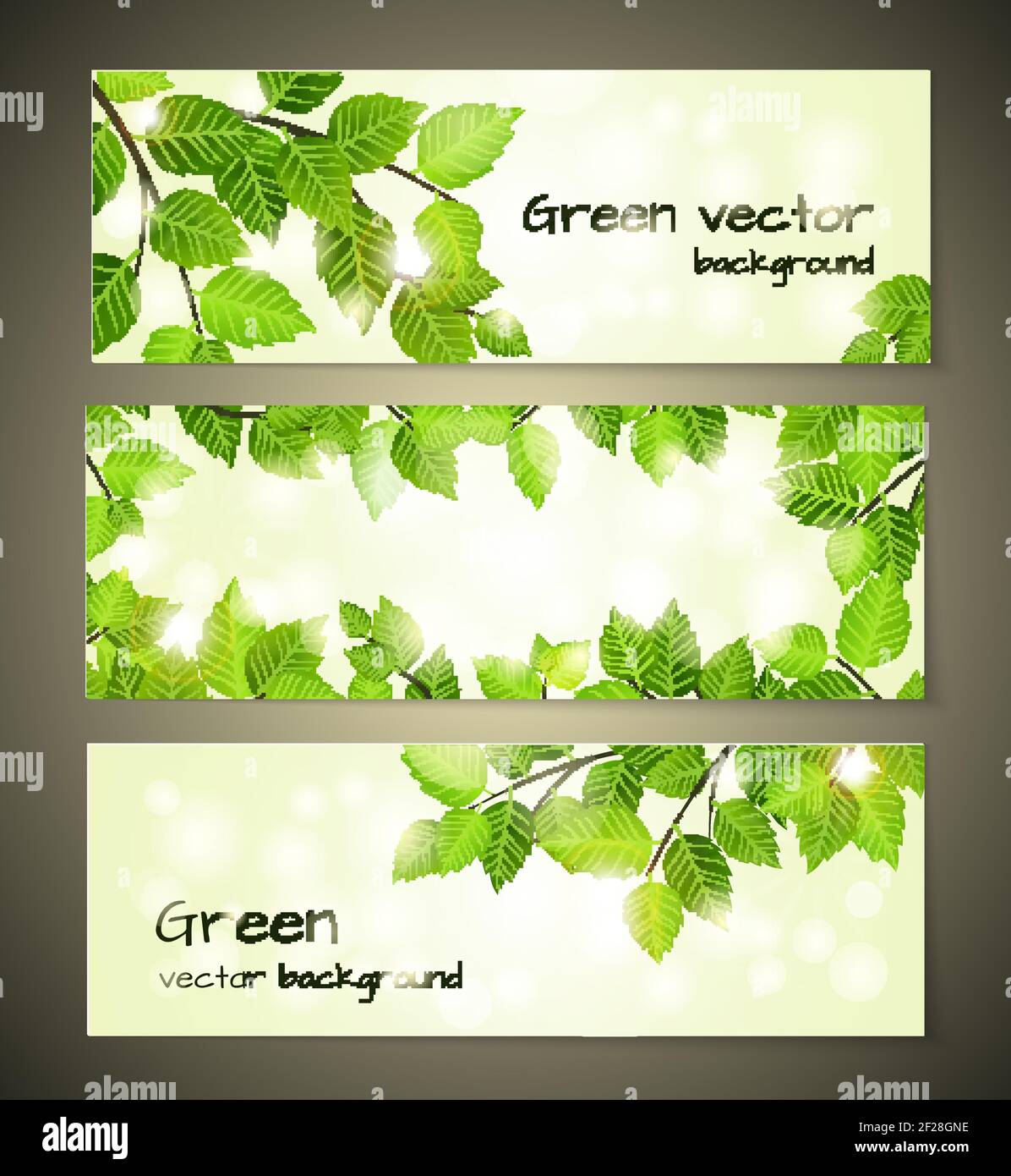 Green leaves banners set design vector templates Stock Vector Image ...