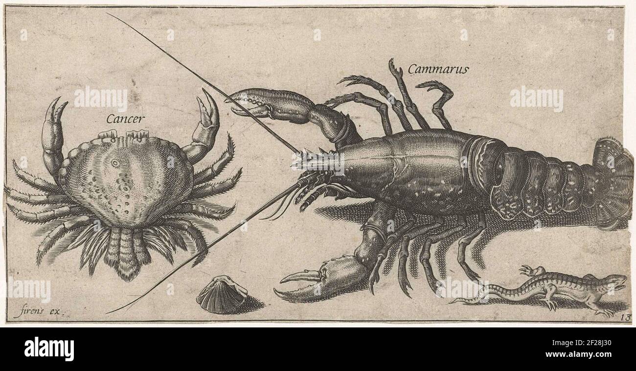 Lobster, crab, salamander and shell; Fishing; PiscIVM Vivae icones ...