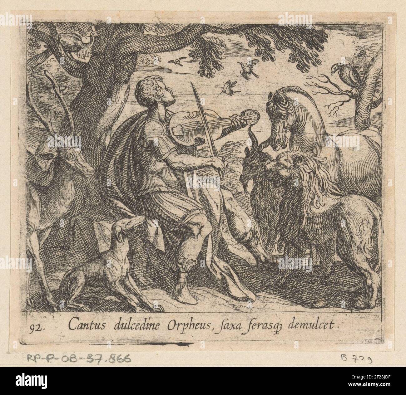 Orpheus enchants hi-res stock photography and images - Alamy