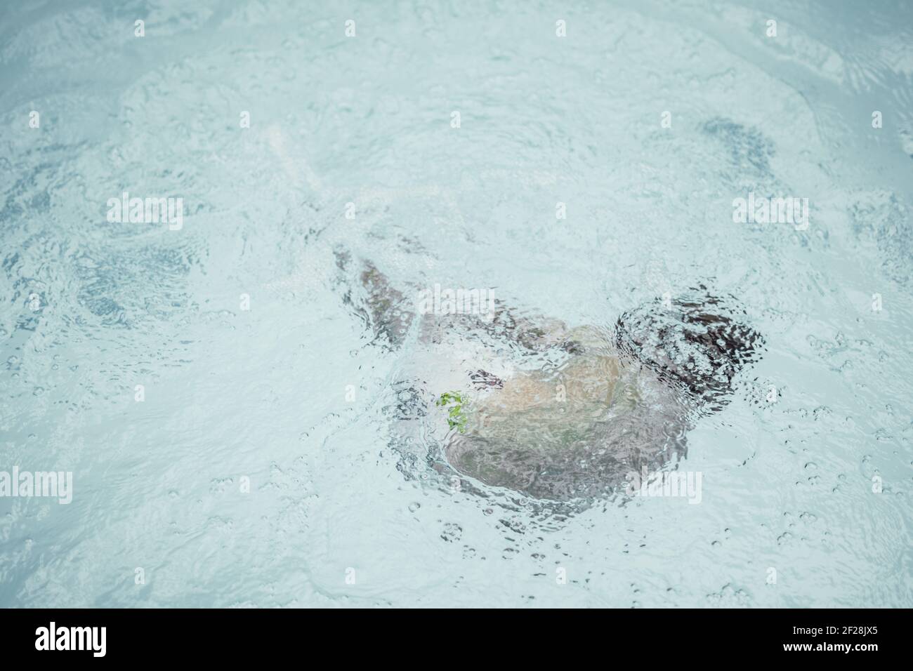 Abstract photo lifestyle, nature background. Unrecognizable person body ...