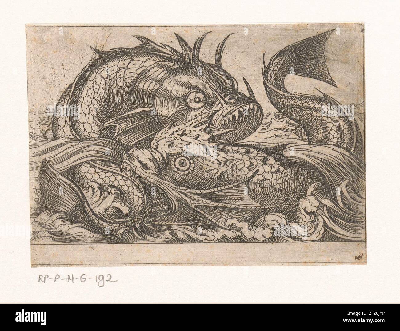 Underwater fight scene hi-res stock photography and images - Alamy