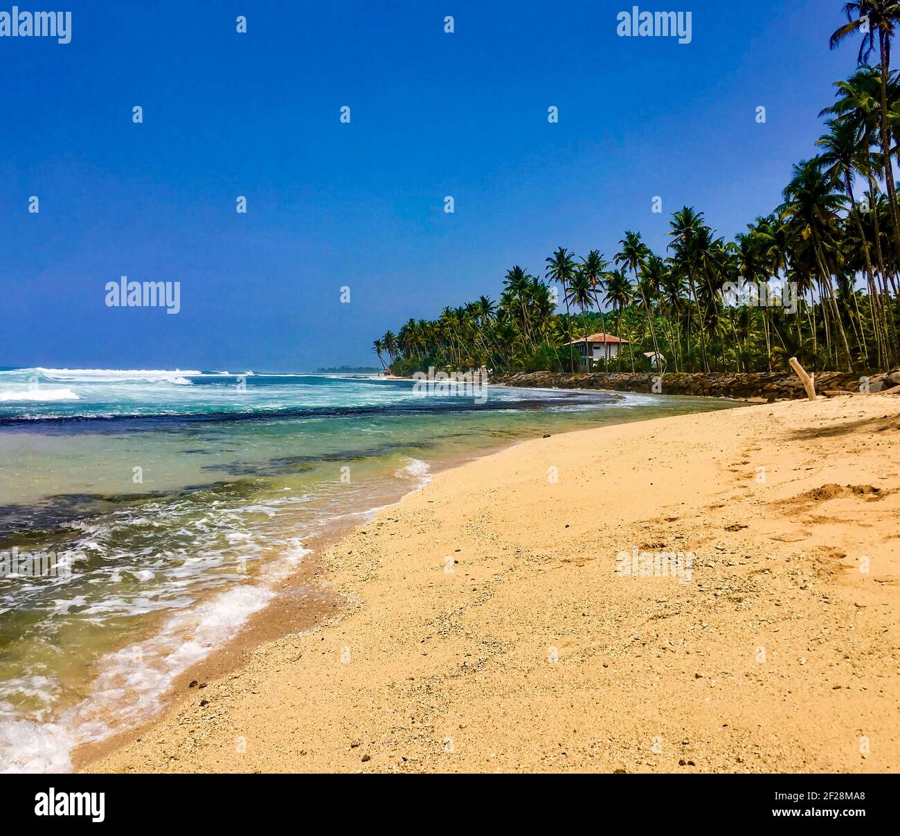 Madiha hi-res stock photography and images - Alamy