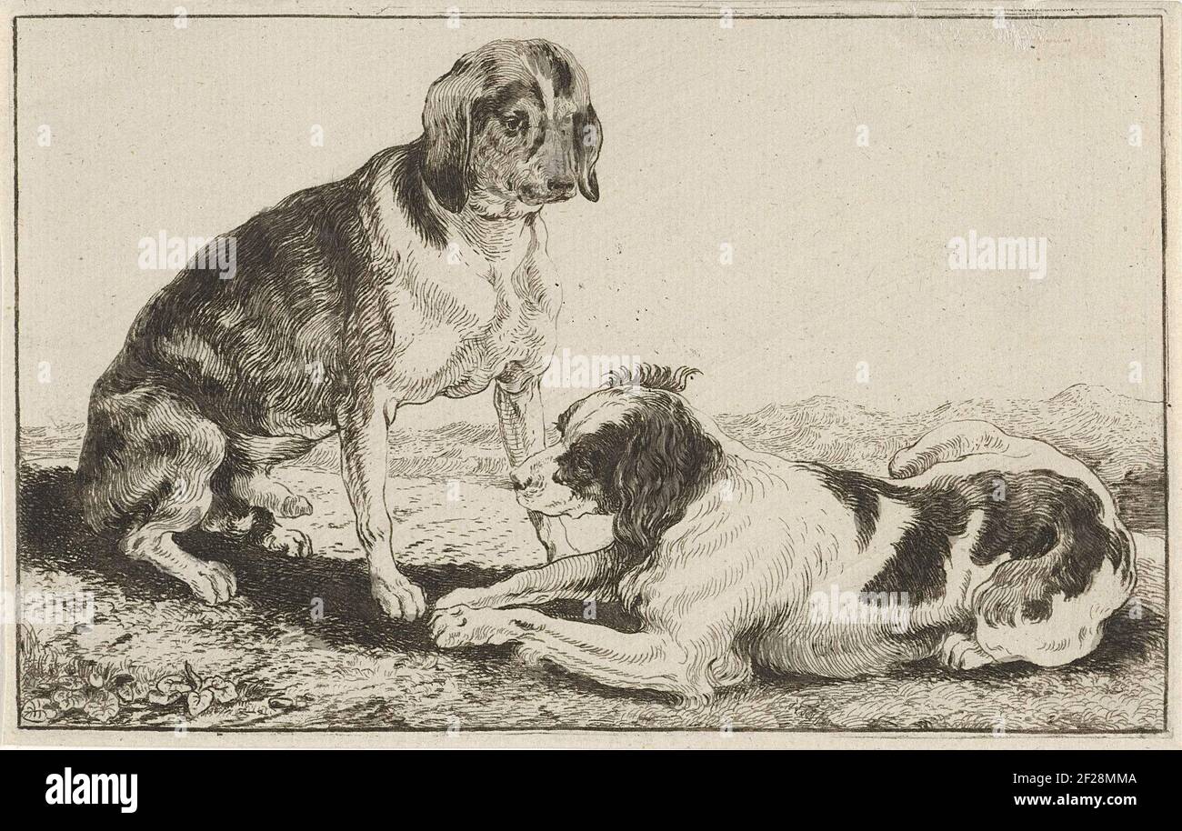 Two resting dogs; Animals; Zooographia Stock Photo - Alamy