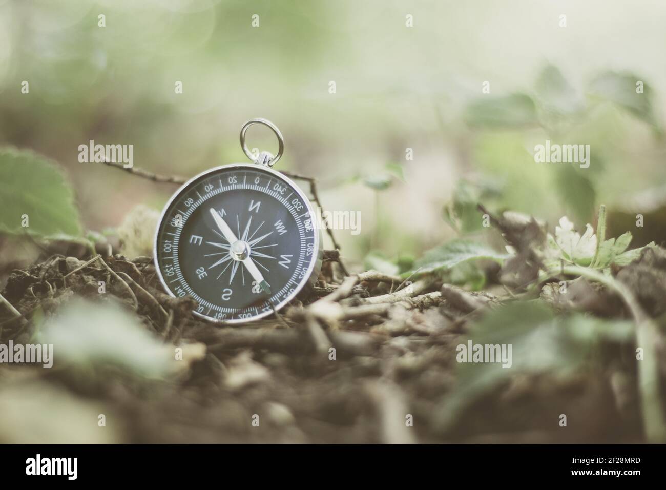 Adventure: Compass is lying on the floor, showing the direction Stock ...