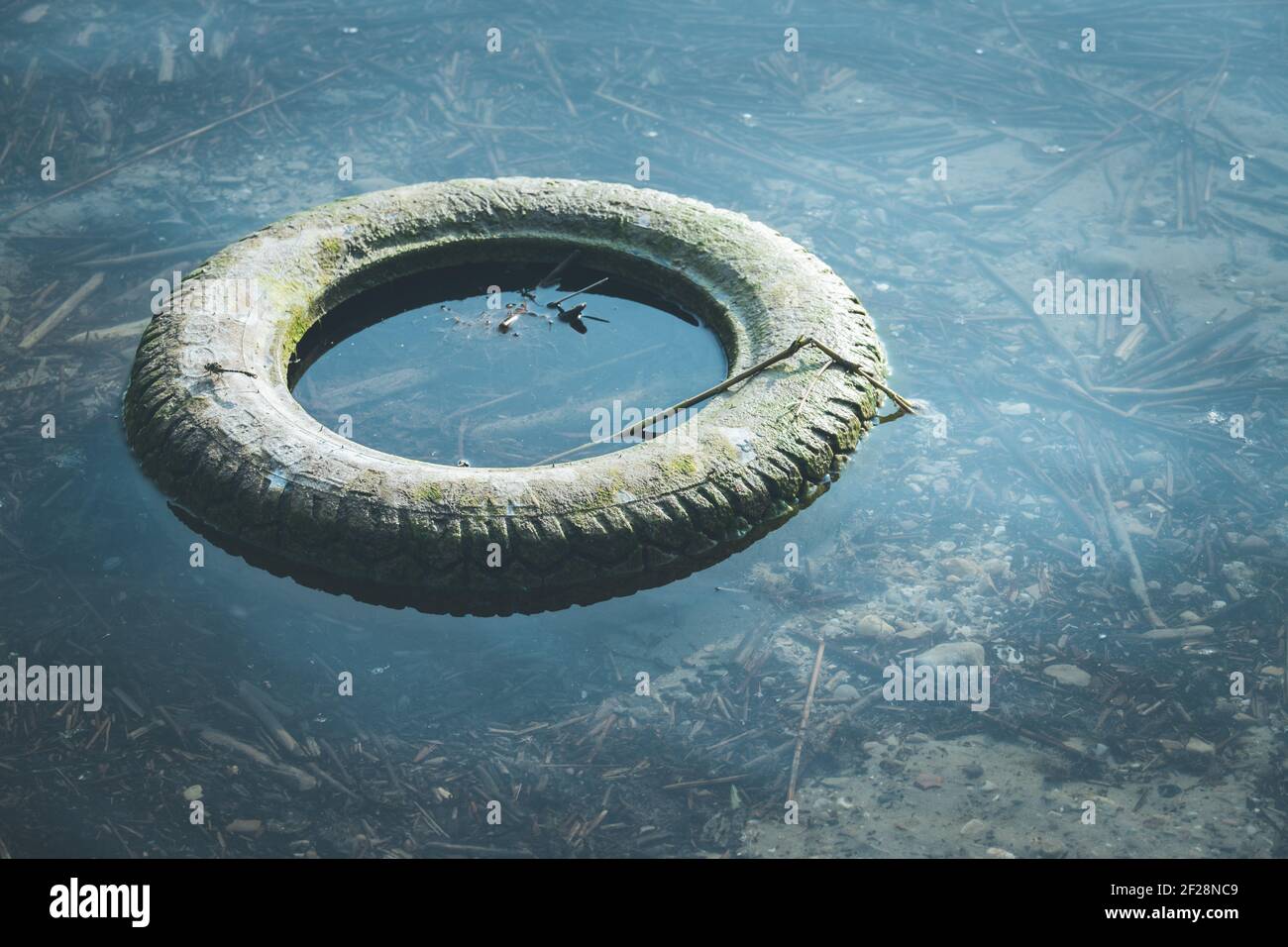 Environmental pollution: old tyre is lying in the water, coastline ...