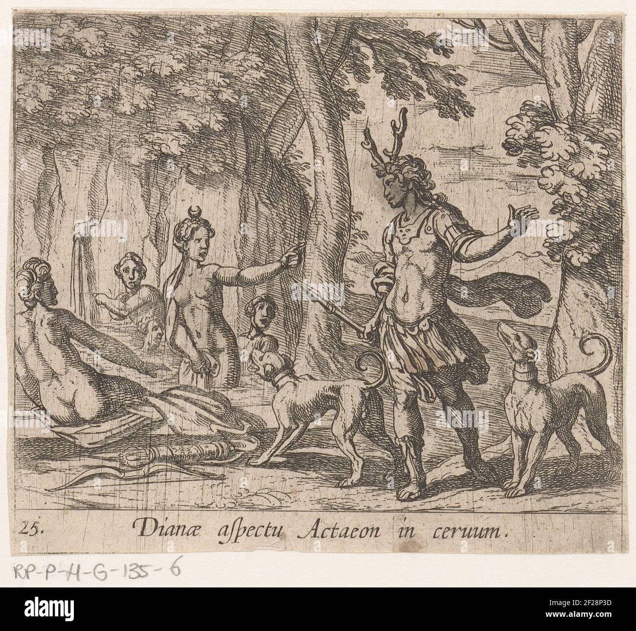 Actaeon changed in a deer; Dianae Aspectu Actaeon in Ceruum ...